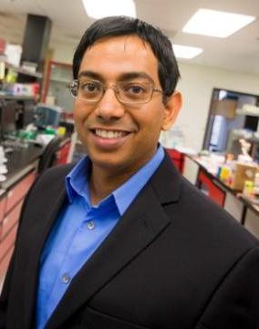 Biological Dynamics Competitors, Revenue and Employees - Owler Company ...