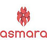 Asmara International Limited’s Competitors, Revenue, Number of ...