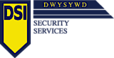 DSI Security Services’s Competitors, Revenue, Number of Employees ...