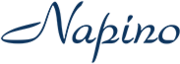 Napino Auto & Electronics’s Competitors, Revenue, Number of Employees ...