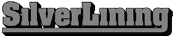 Silverlining Holding Corp.’s Competitors, Revenue, Number of Employees ...