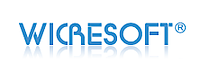 Wicresoft’s Competitors, Revenue, Number of Employees, Funding ...
